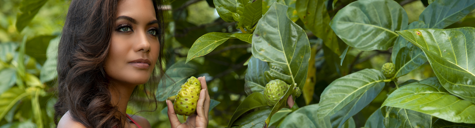 NONI .::Power of Paradise::..