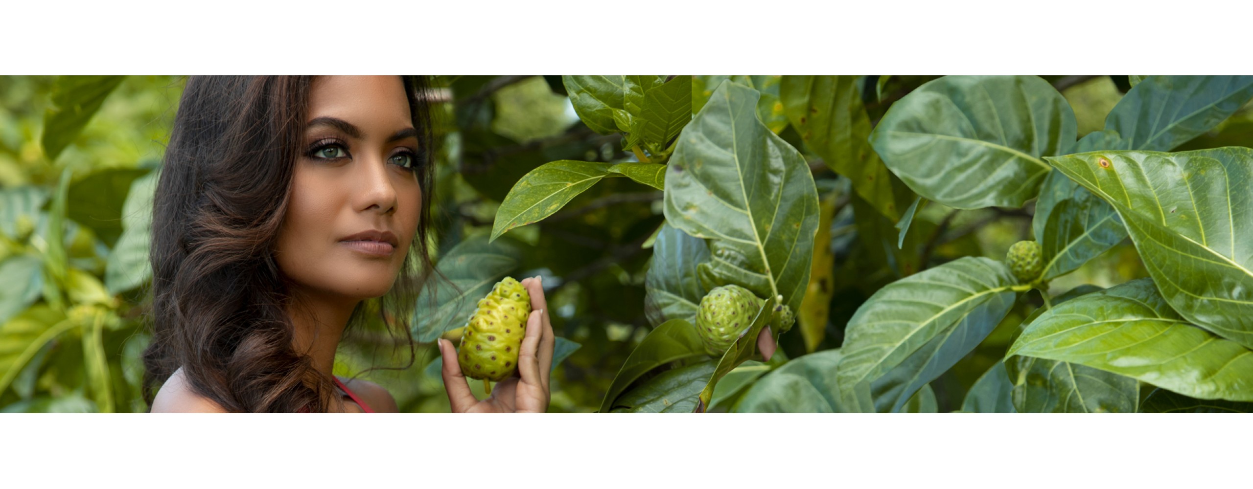 NONI .::Power of Paradise::..